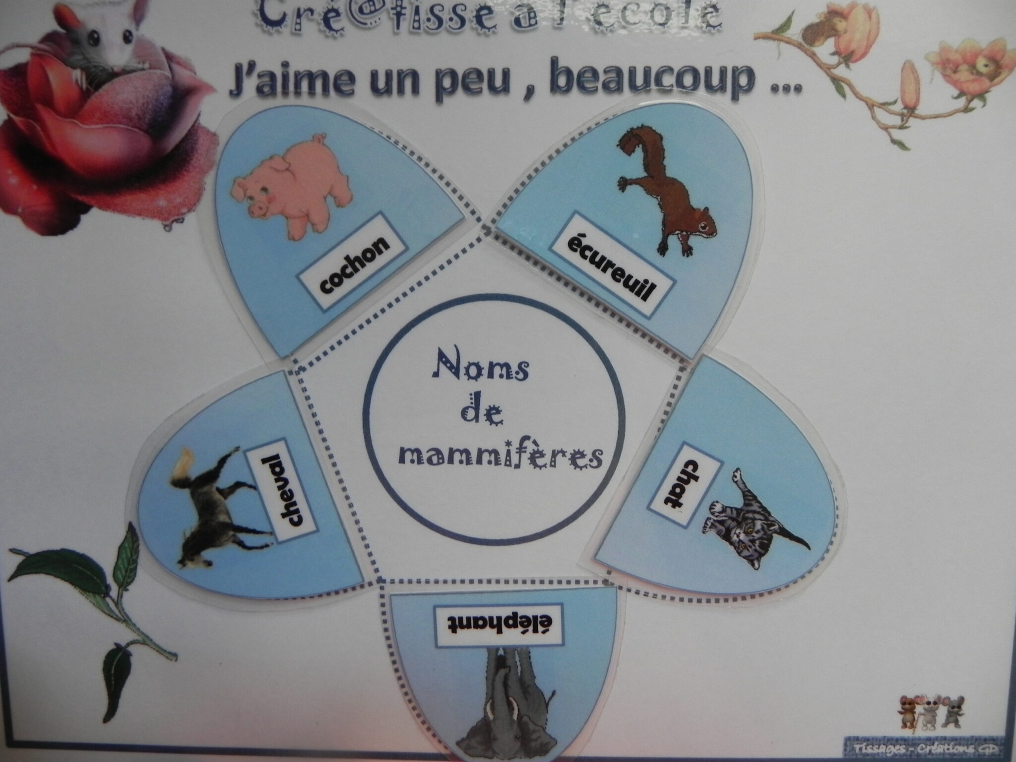 GRAMMAIRE : LE NOM - ATELIERS / MEMOS / EXERCICES • ReCreatisse