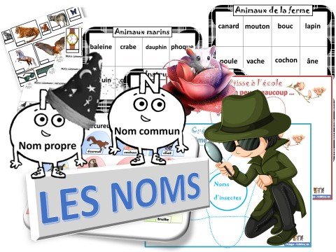 GRAMMAIRE : LE NOM - ATELIERS / MEMOS / EXERCICES • ReCreatisse