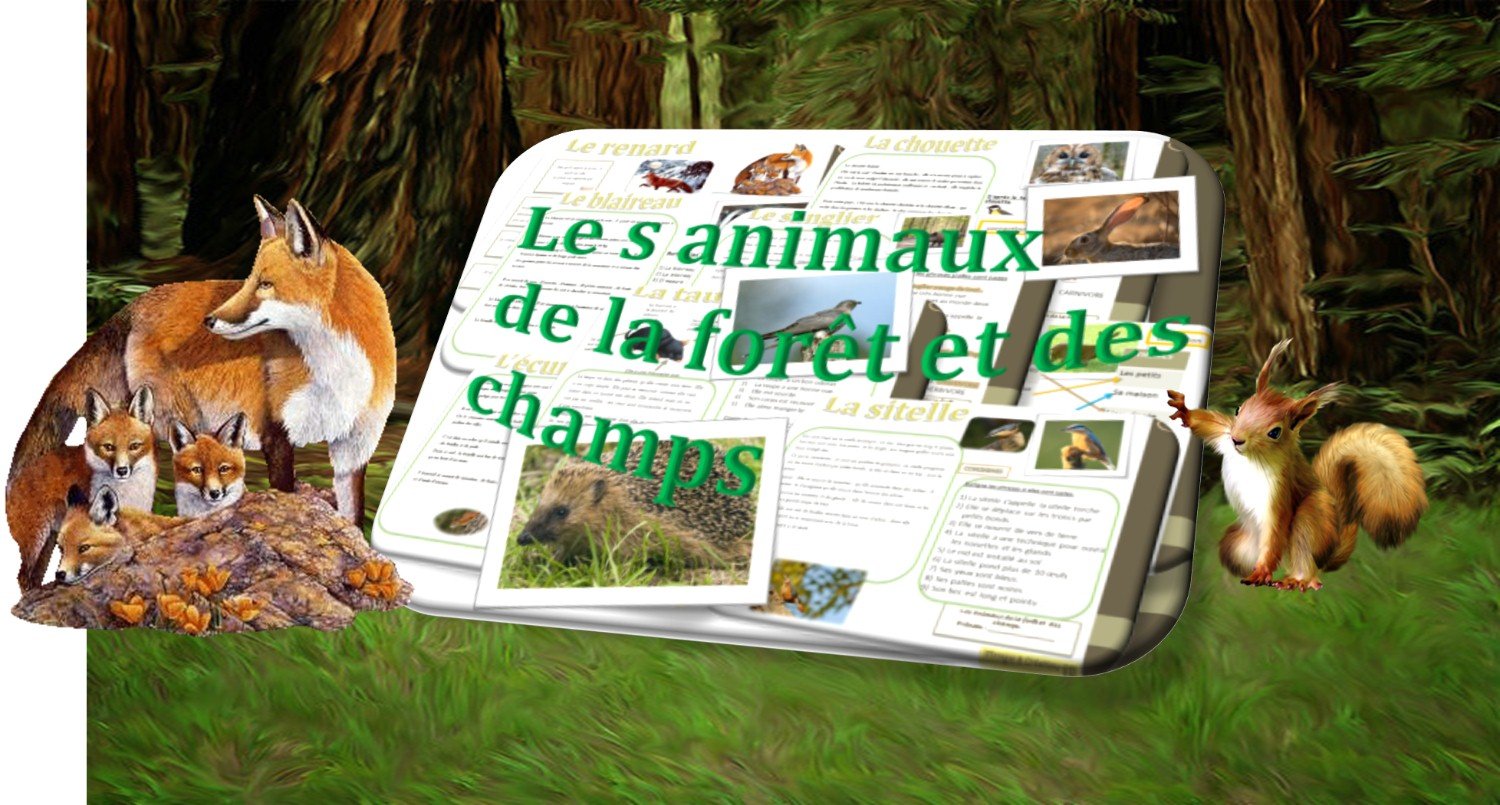 LECTURE : Les animaux de la forêt et des champs • ReCreatisse