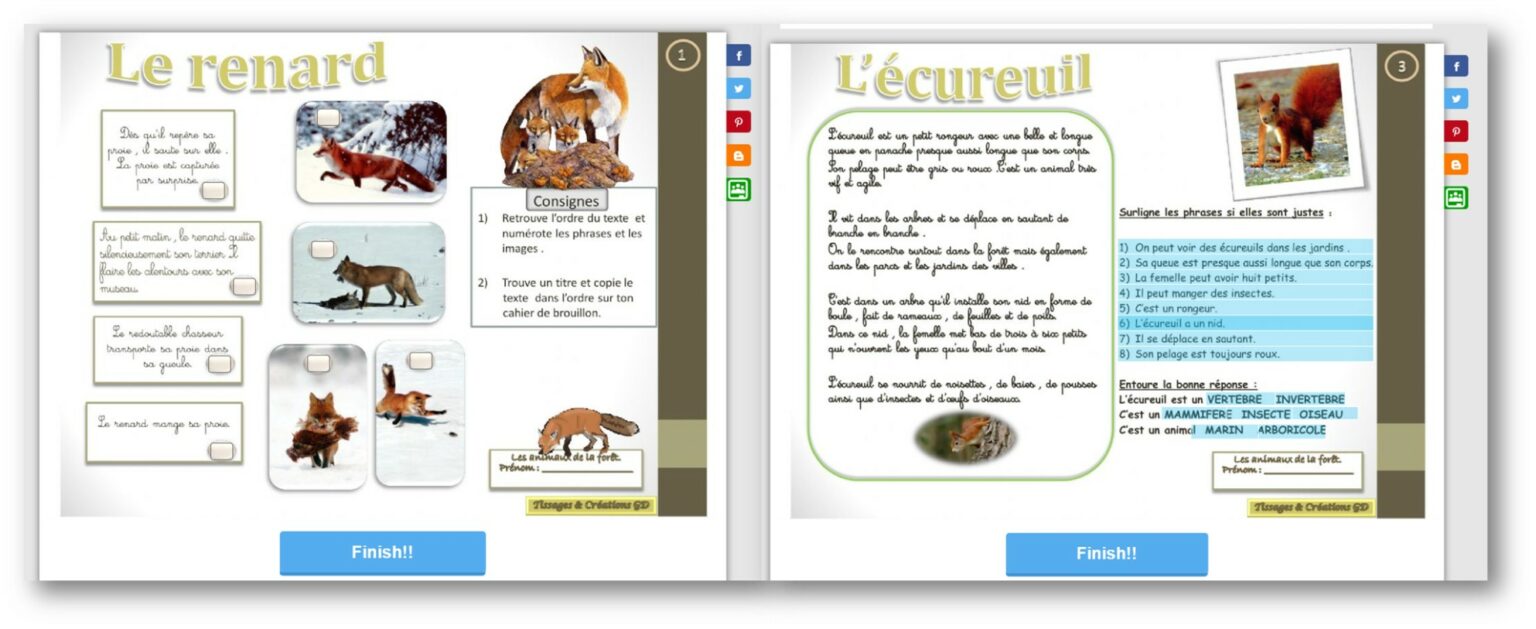 LECTURE : Les animaux de la forêt et des champs • ReCreatisse