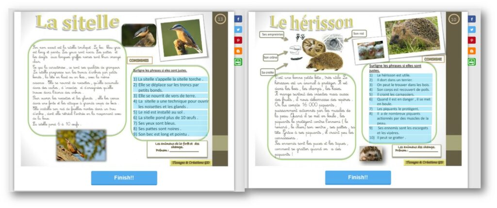 LECTURE : Les animaux de la forêt et des champs • ReCreatisse