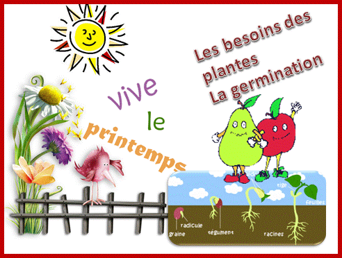 Les besoins des plantes - La germination CP / CE1 / CE2 • ReCreatisse