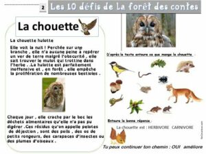 LECTURE : parcours initiatique - Les 10 défis de la forêt des contes ...