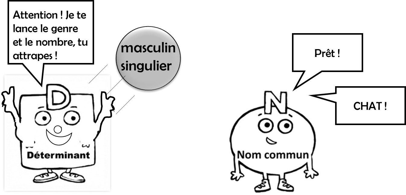 DETERMINANTS : CAHIER INTERACTIF et AFFICHAGE • ReCreatisse