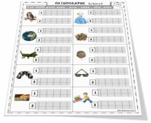Orthographe : la lettre e - Mots avec elle /ette/esse/erre/enne ...