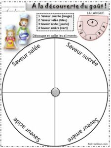 Les 5 sens : LE GOÛT CP/CE1 - Activités autour de l'alimentation ...