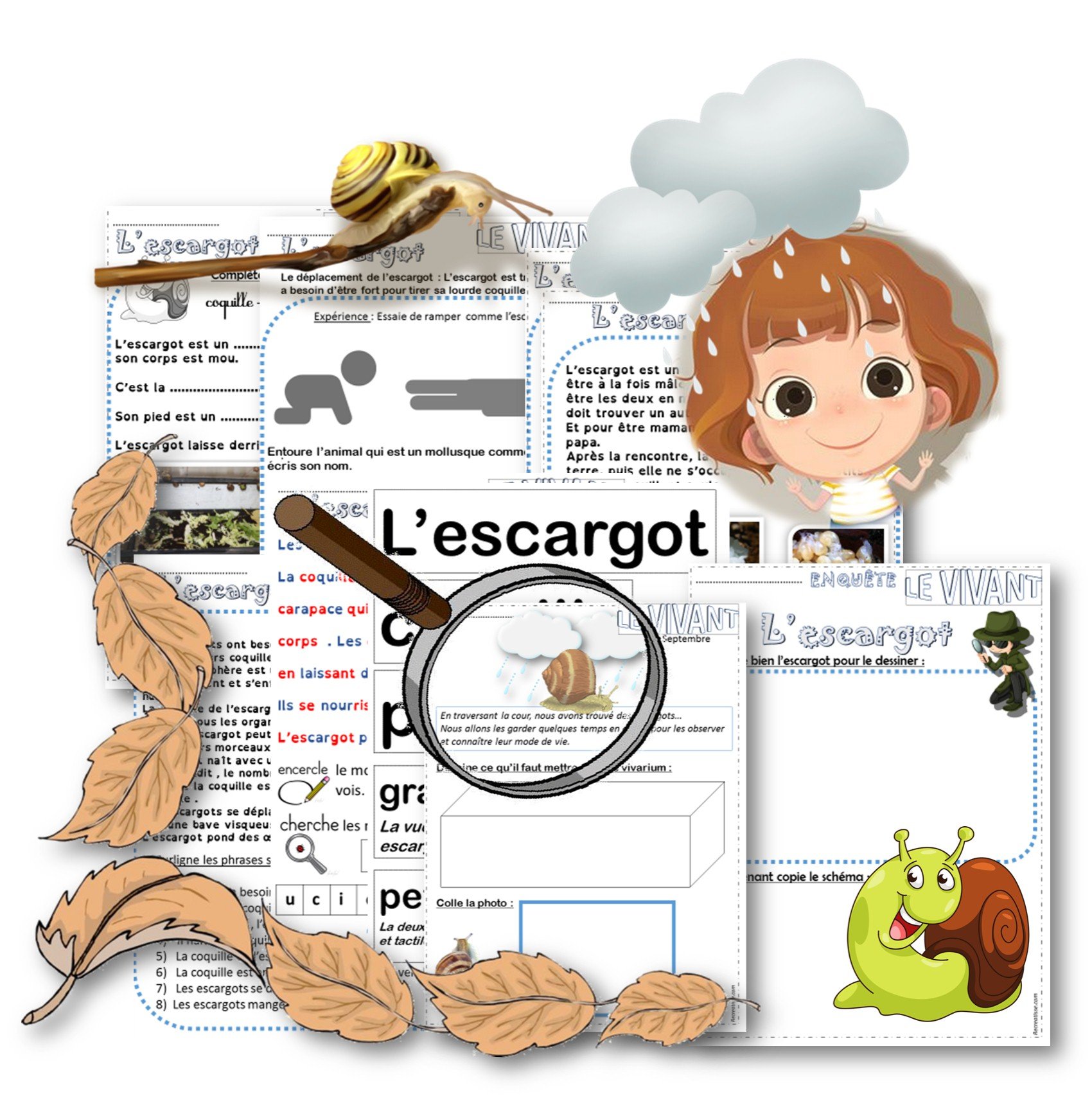 L'ESCARGOT : observation et expérimentation / lecture documentaire ...
