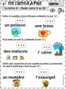ORTHOGRAPHE : choisir S ou SS • ReCreatisse