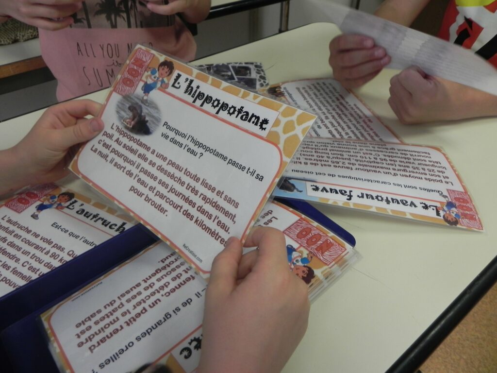 VOCABULAIRE : les animaux du zoo • ReCreatisse