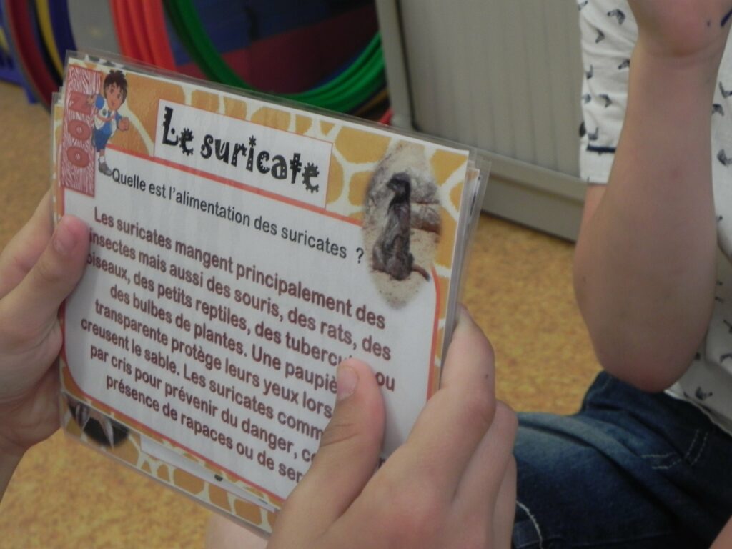 VOCABULAIRE : les animaux du zoo • ReCreatisse