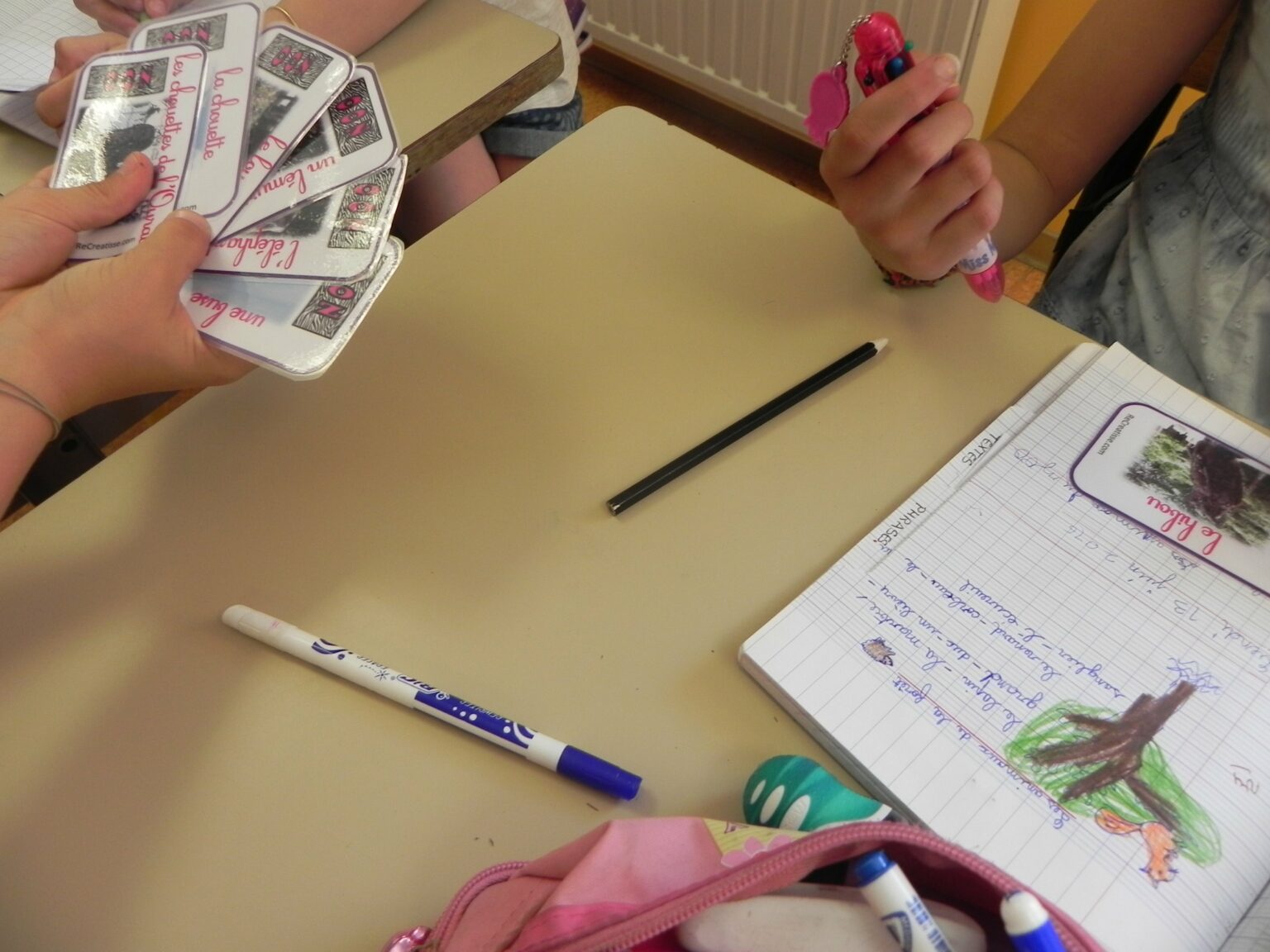 VOCABULAIRE : les animaux du zoo • ReCreatisse