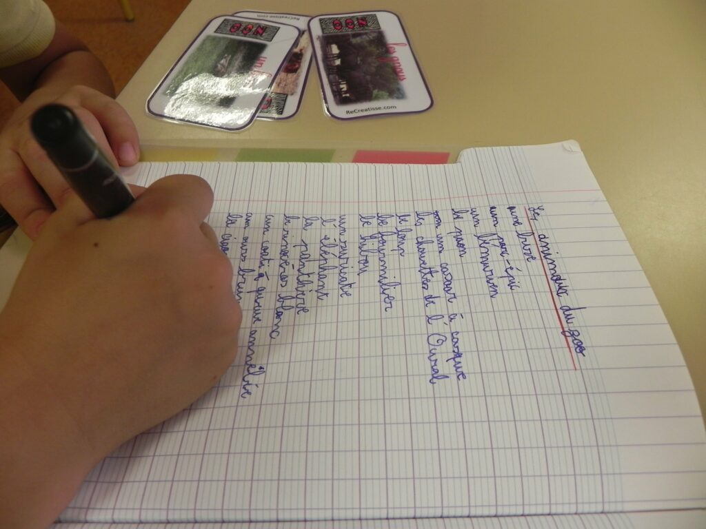 VOCABULAIRE : les animaux du zoo • ReCreatisse