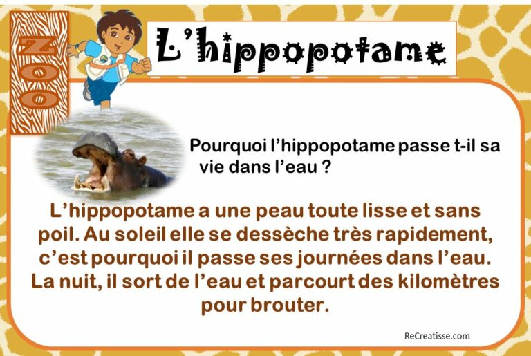 VOCABULAIRE : les animaux du zoo • ReCreatisse