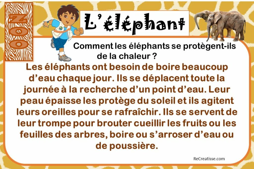 VOCABULAIRE : les animaux du zoo • ReCreatisse