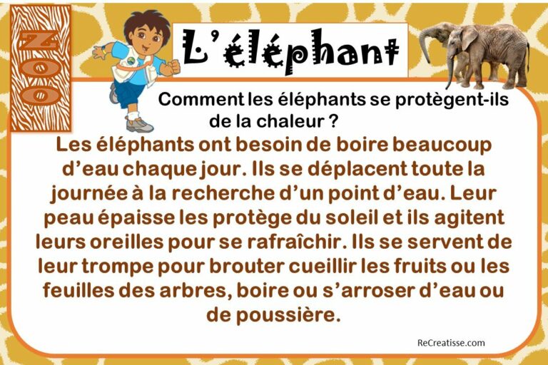 VOCABULAIRE : les animaux du zoo • ReCreatisse
