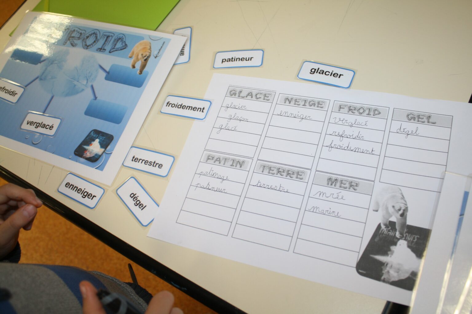 ATELIERS EDL avec Polaire l'ours solitaire • ReCreatisse