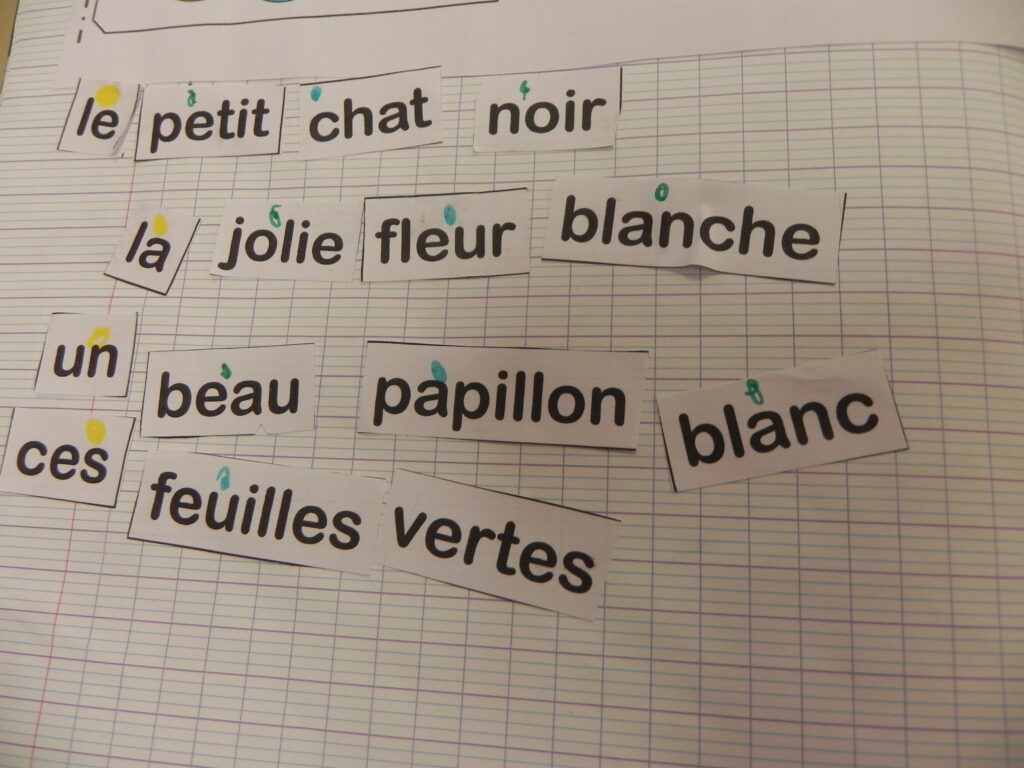 L'accord dans le groupe nominal • ReCreatisse