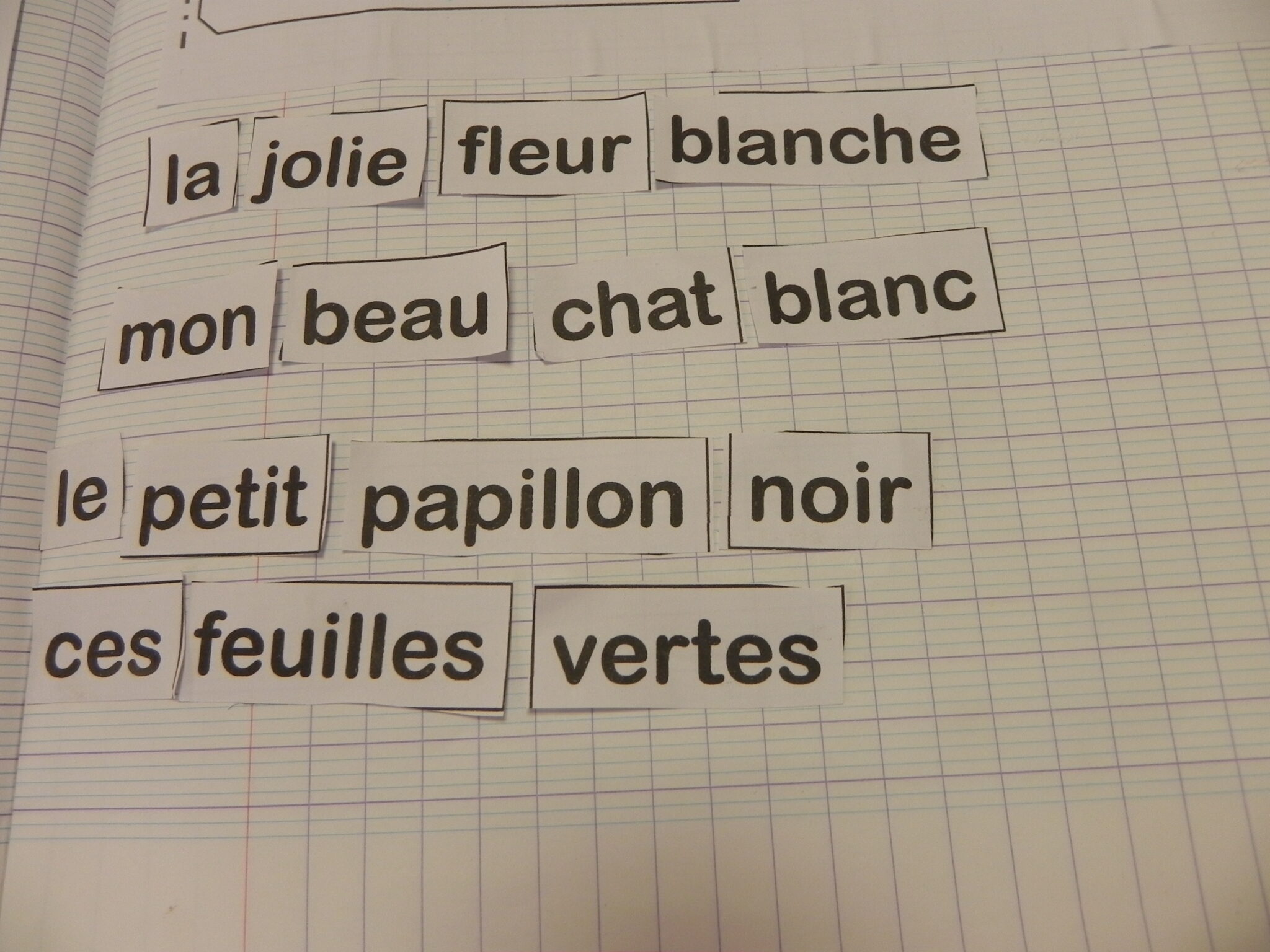 L'accord dans le groupe nominal • ReCreatisse