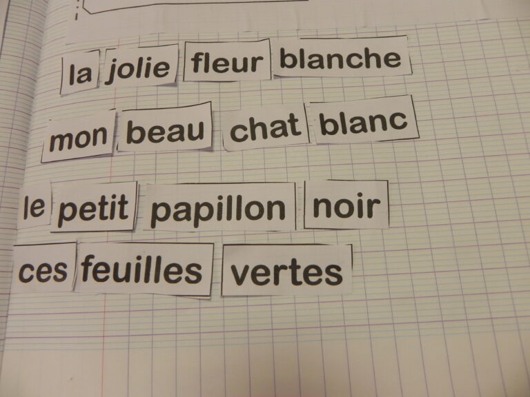 L'accord dans le groupe nominal • ReCreatisse