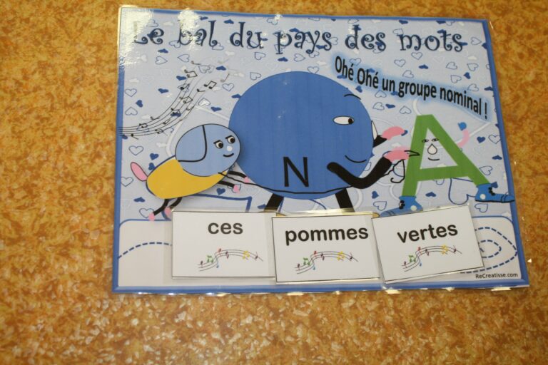 L'accord dans le groupe nominal • ReCreatisse