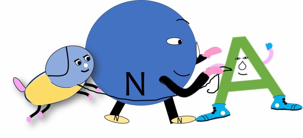 L'accord dans le groupe nominal • ReCreatisse