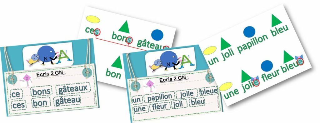 L'accord dans le groupe nominal • ReCreatisse