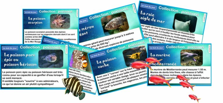 NOMENCLATURE / ACTIVITES LEXICALES : animaux marins • ReCreatisse