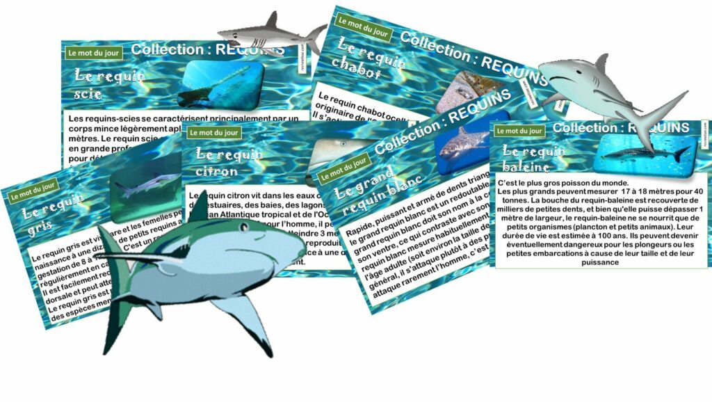 NOMENCLATURE / ACTIVITES LEXICALES : animaux marins • ReCreatisse