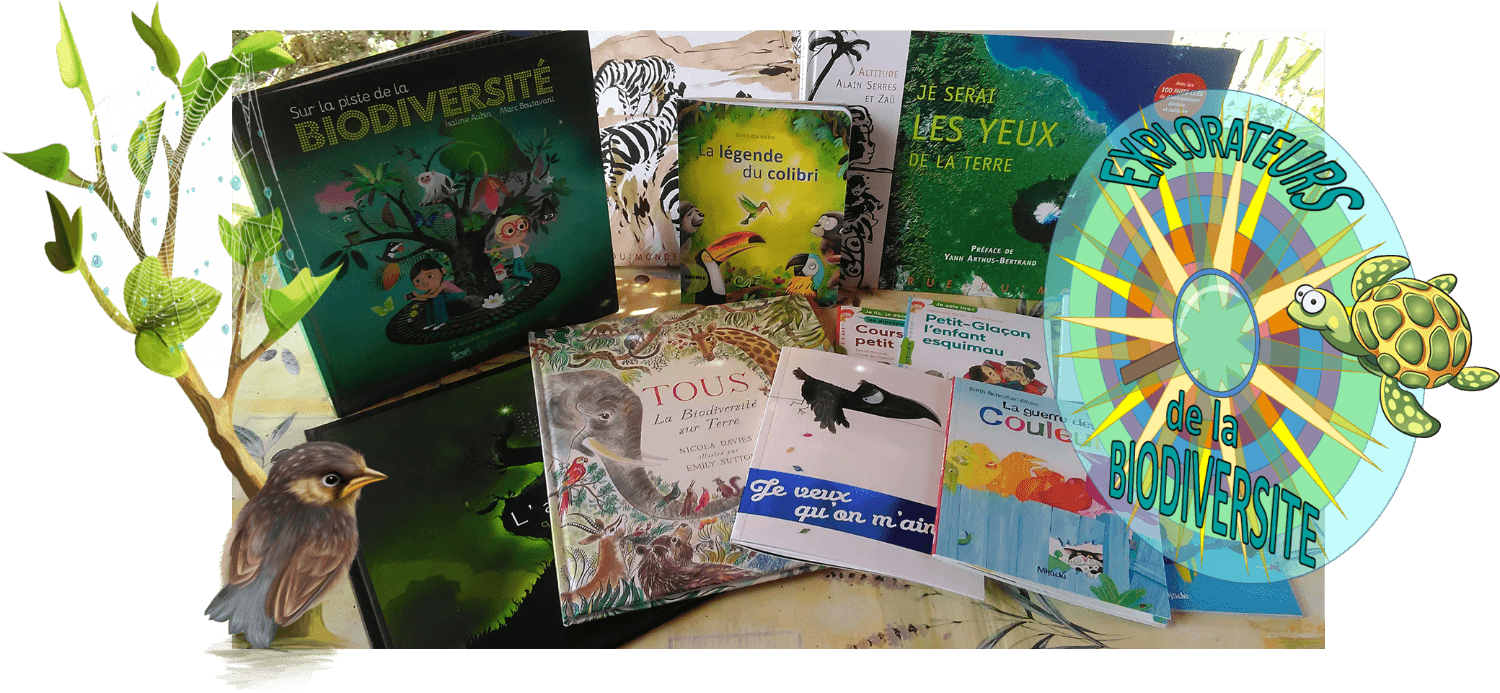 Projet 2017/2018 : Explorateurs de la biodiversité • ReCreatisse