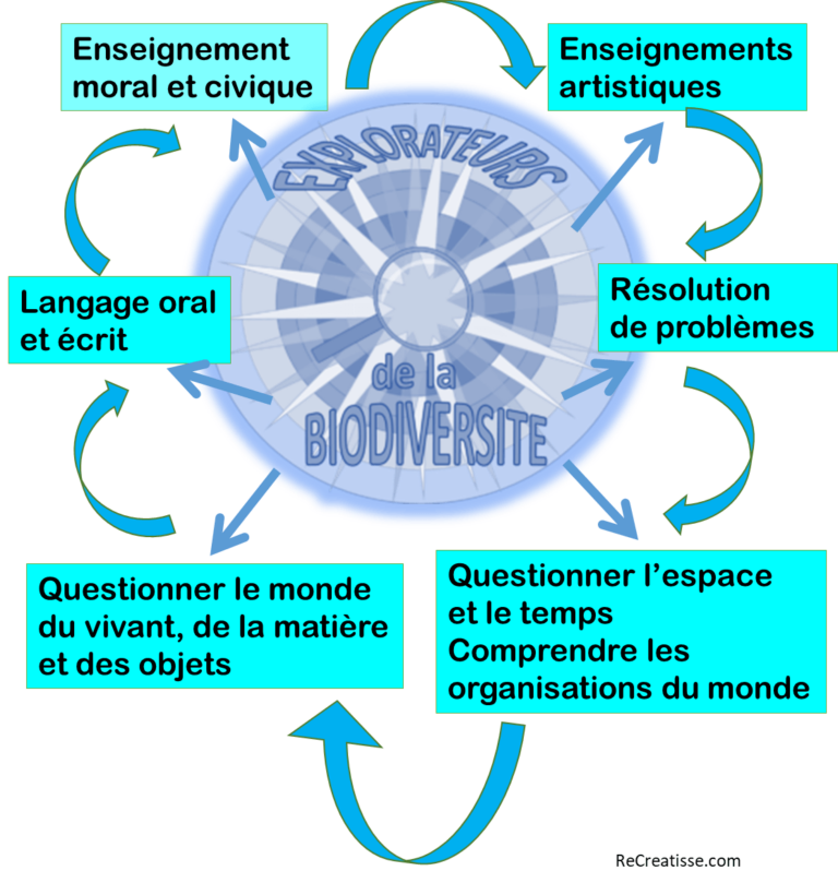 Projet 2017/2018 : Explorateurs de la biodiversité • ReCreatisse
