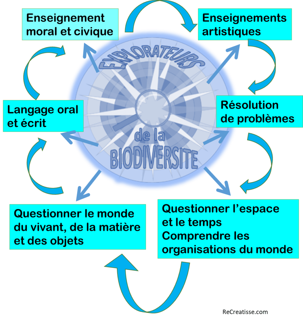 Projet 2017/2018 : Explorateurs de la biodiversité • ReCreatisse