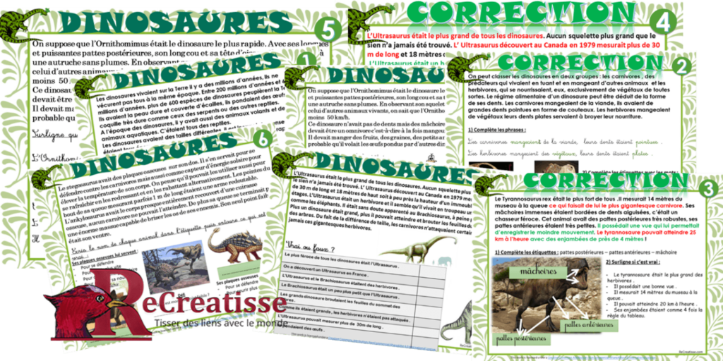 Ateliers lecture autour des dinosaures • ReCreatisse