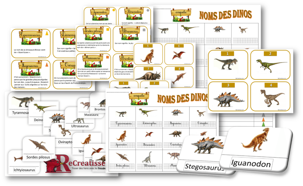 Ateliers lecture autour des dinosaures • ReCreatisse