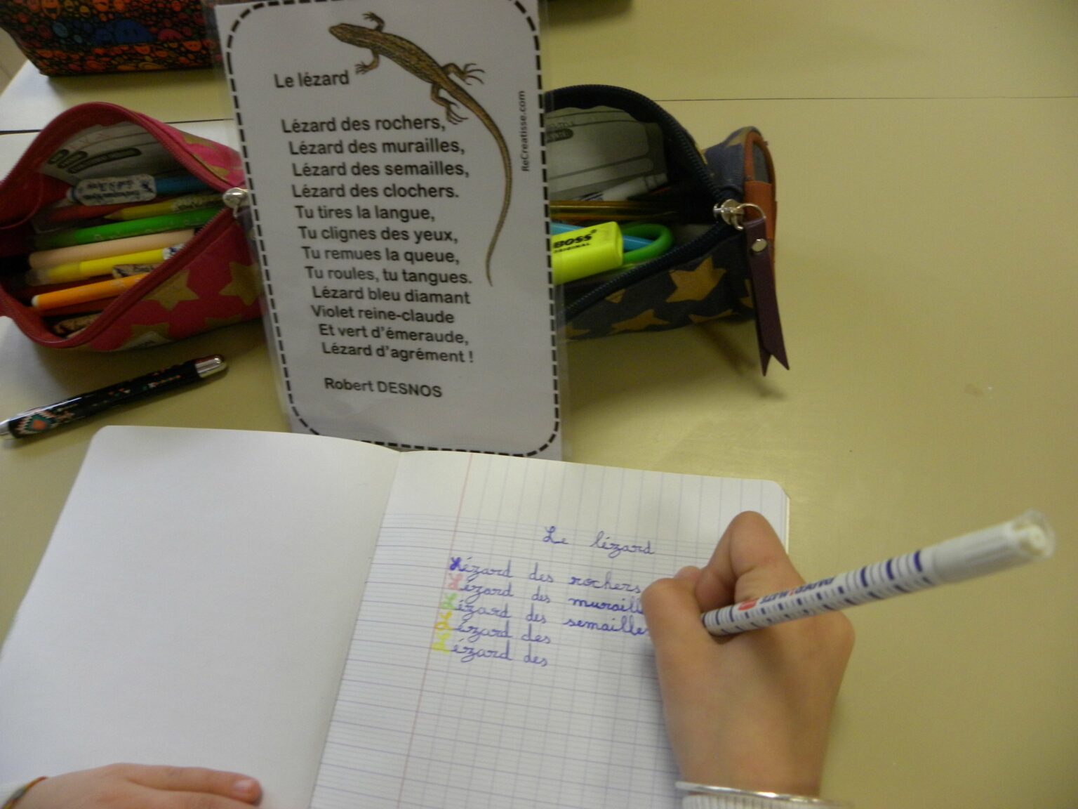 POESIES explorateurs de la biodiversité : les animaux • ReCreatisse