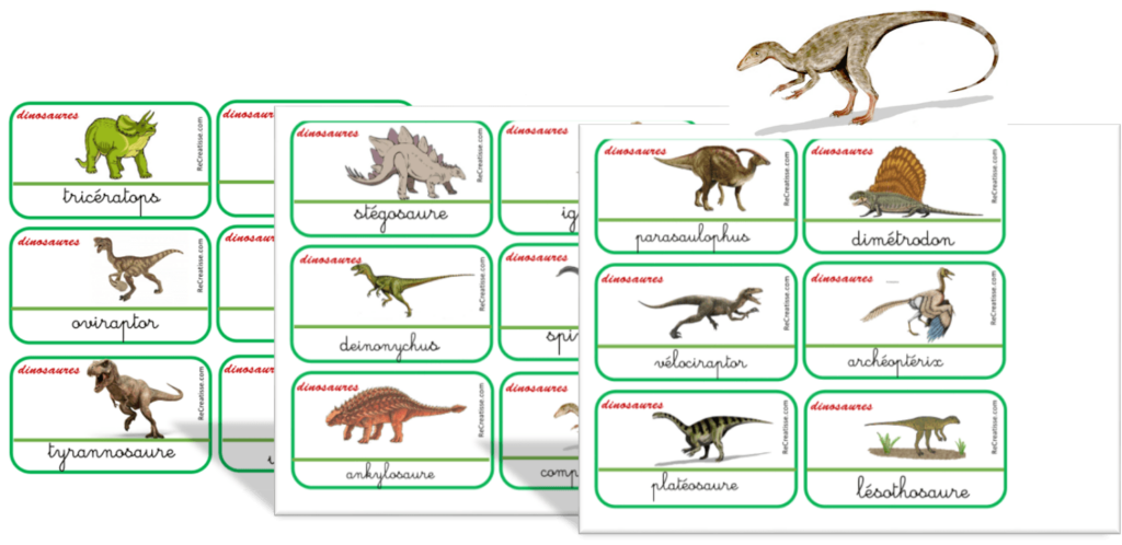 Voyage à travers le temps 1 - Les dinosaures • ReCreatisse