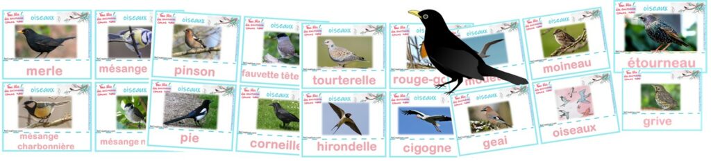 Vous êtes des animaux, comme nous • ReCreatisse