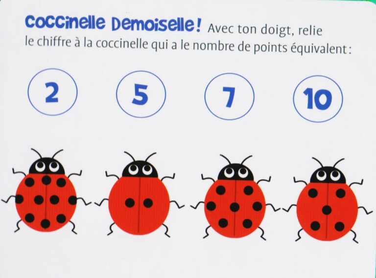 Timoté découvre les chiffres - Gründ • ReCreatisse