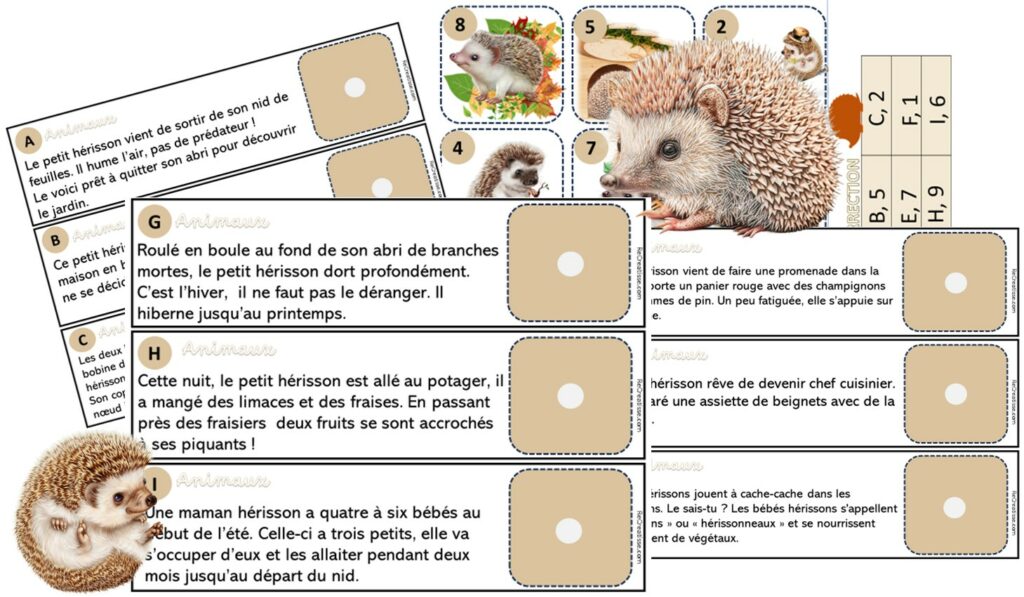 LECTURE : Phrases - textes et activités • ReCreatisse