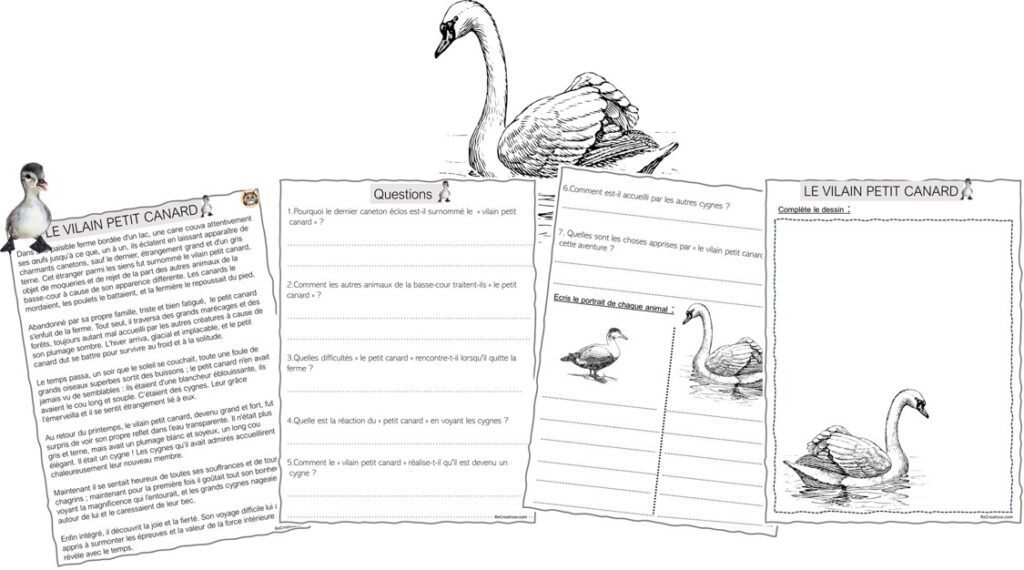 LECTURE : Phrases - textes et activités • ReCreatisse