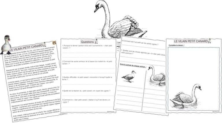 LECTURE : Phrases - textes et activités • ReCreatisse