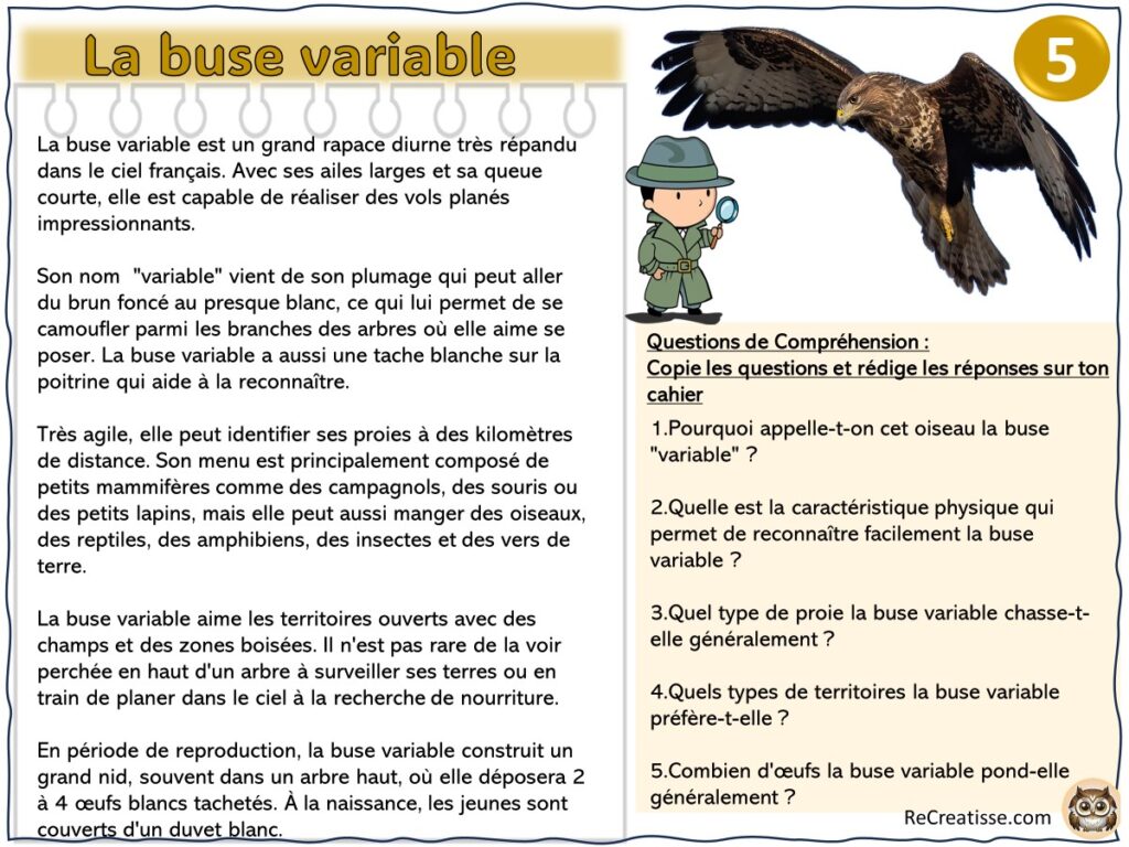 Lecture de textes documentaires • ReCreatisse