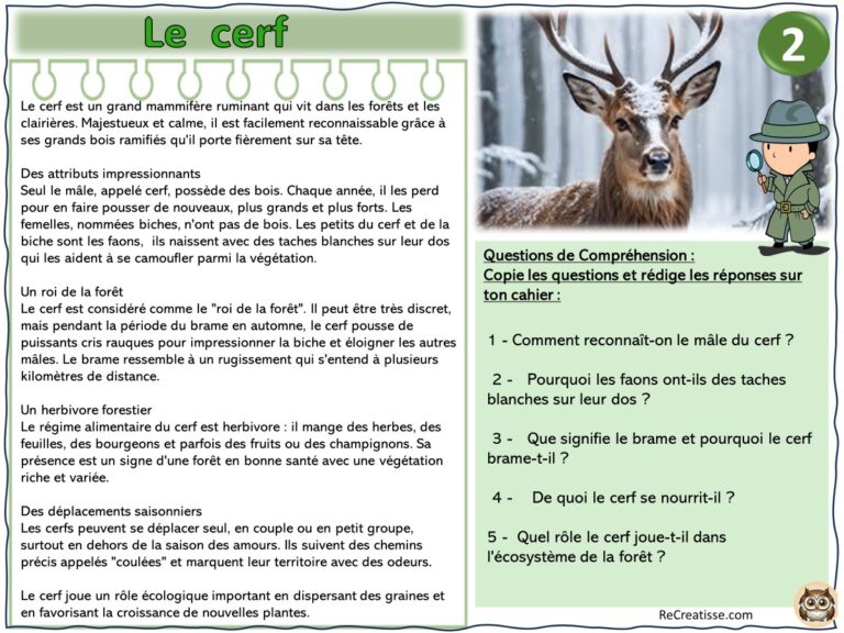 Lecture de textes documentaires • ReCreatisse