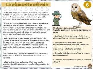 Lecture de textes documentaires • ReCreatisse