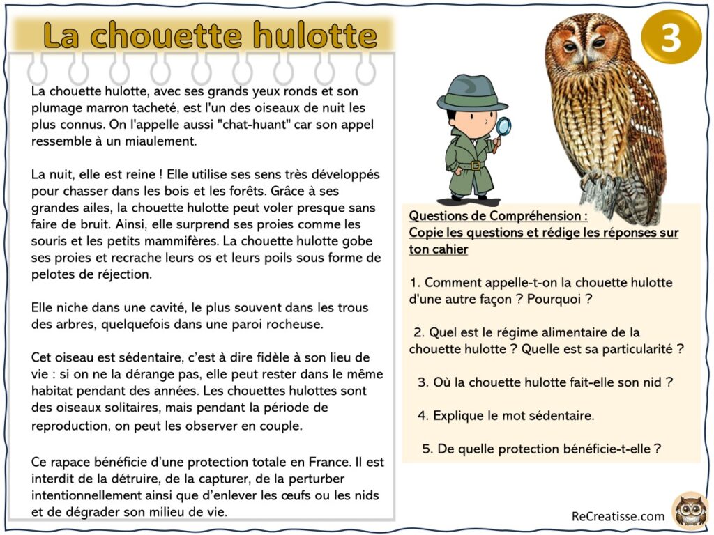 Lecture De Textes Documentaires • Recreatisse