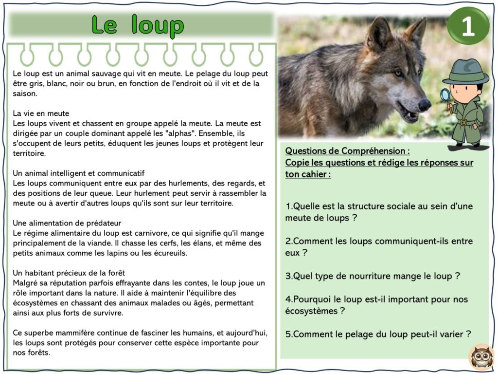 Lecture de textes documentaires • ReCreatisse