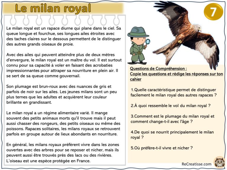 Lecture de textes documentaires • ReCreatisse