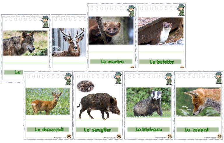 Lecture de textes documentaires • ReCreatisse