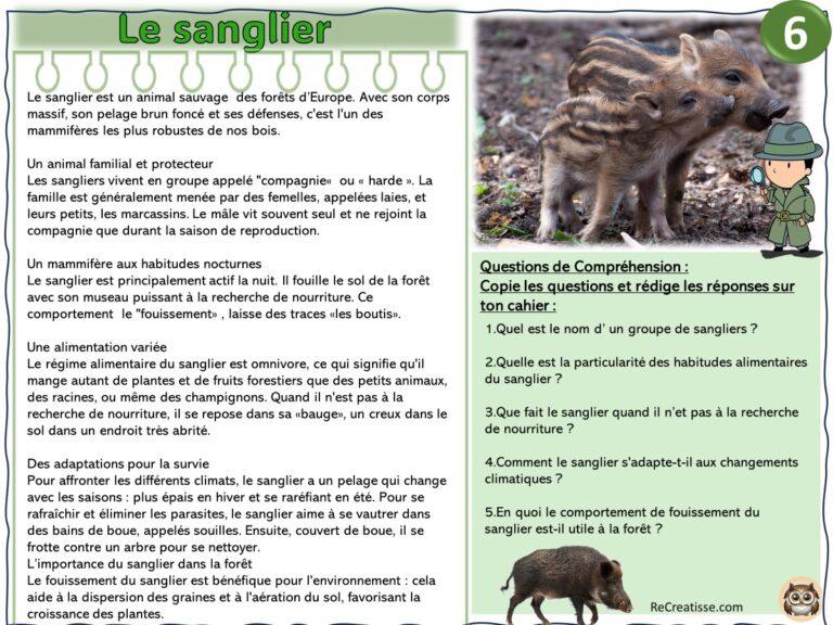 Lecture de textes documentaires • ReCreatisse