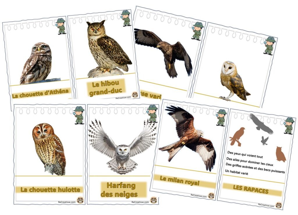 Lecture de textes documentaires • ReCreatisse